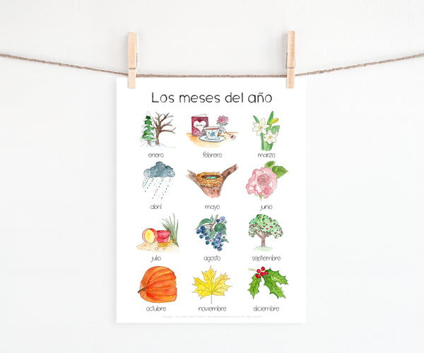 Months of the Year in Spanish | Printable - Green Urban Creative