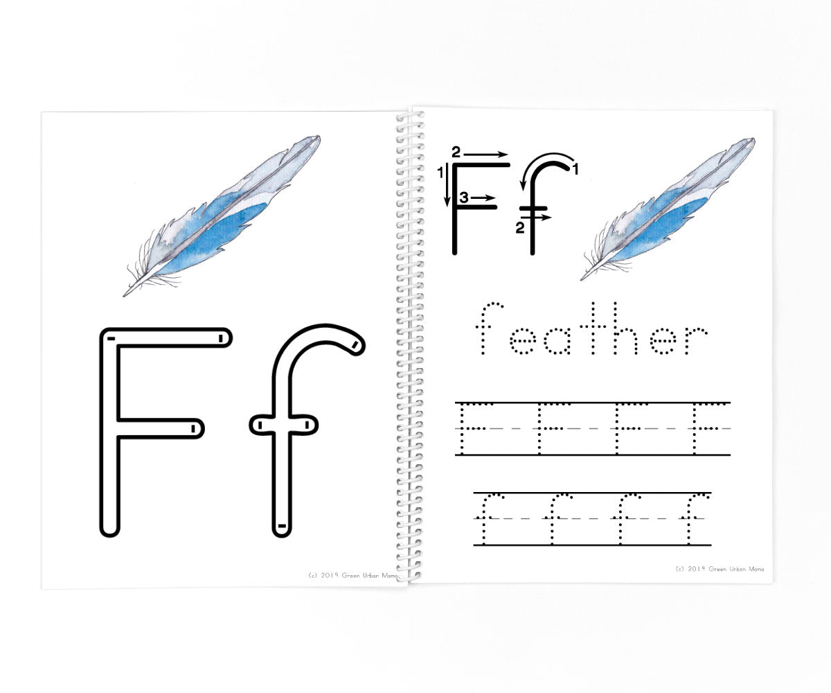 Anatomy of a Feather | Printable - Green Urban Creative