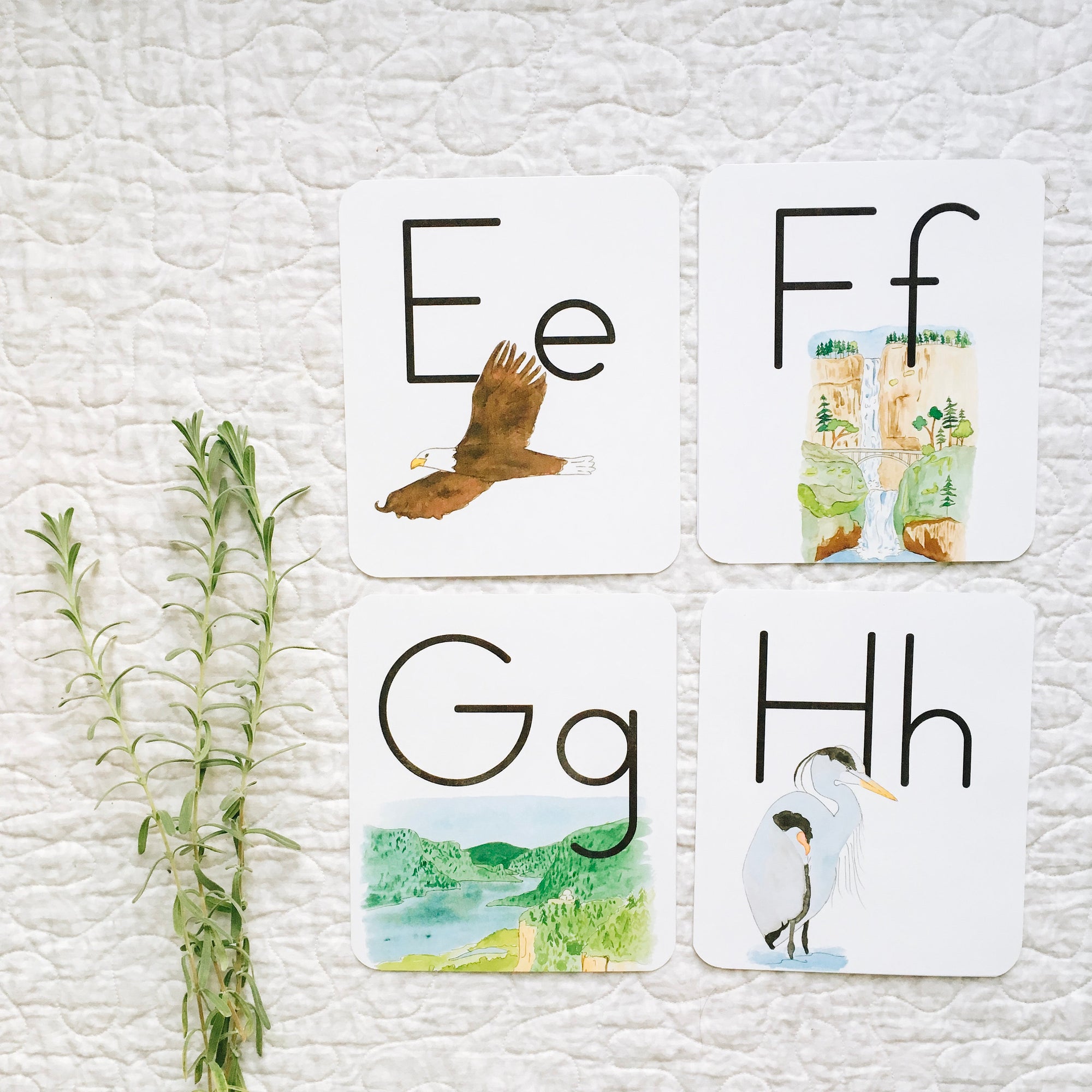 Watercolor Nature Alphabet Banner Classroom Decor - Green Urban Creative