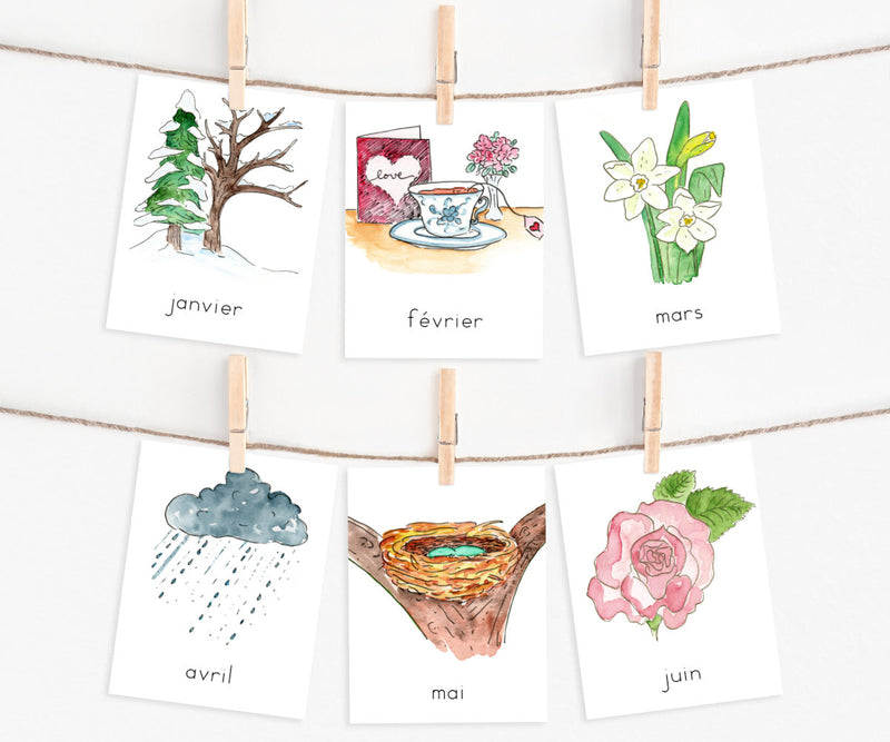 Months of the Year Flashcards in French | Printable - Green Urban Creative