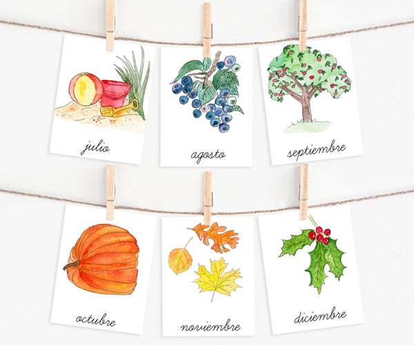 Months of the Year in Spanish | Printable - Green Urban Creative