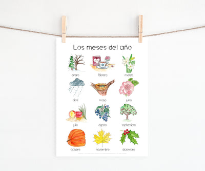 Months of the Year in Spanish | Printable - Green Urban Creative