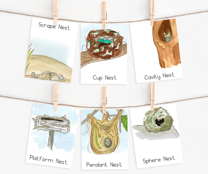 Bird Nests | Printable - Green Urban Creative